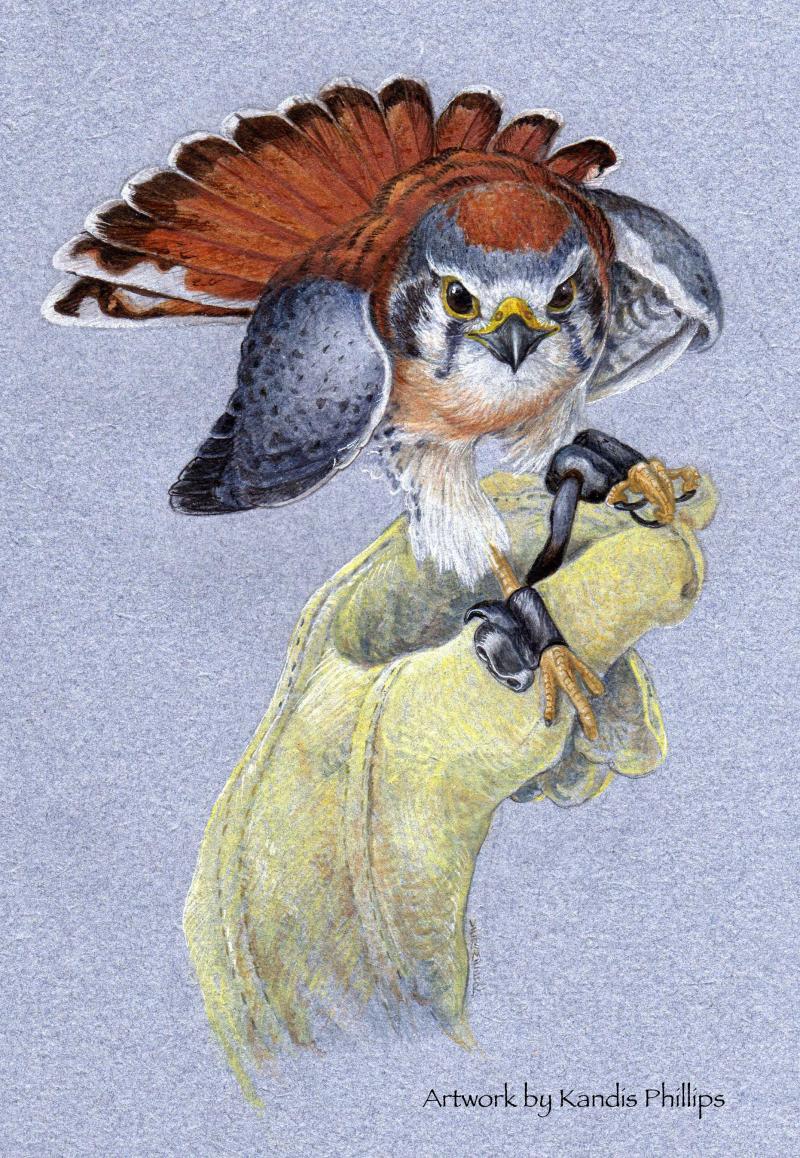 Chicken Hawk Food, a Division of Westwind Poultry Farms, LLC - Home